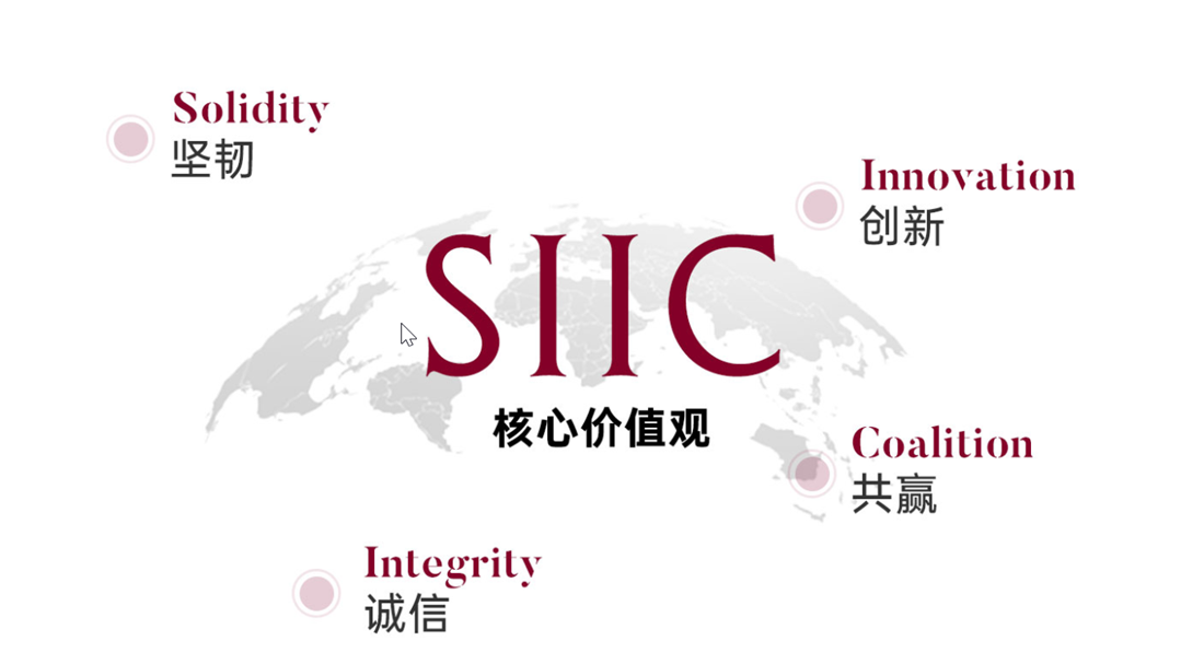 SIIC Environment Holdings Ltd - 企业文化